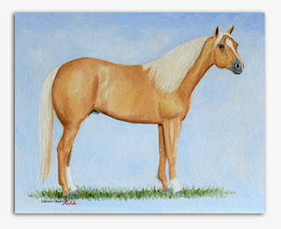 Quarter Horse Drawing Quarter Horse – Equine Art By Jeanne Rewa